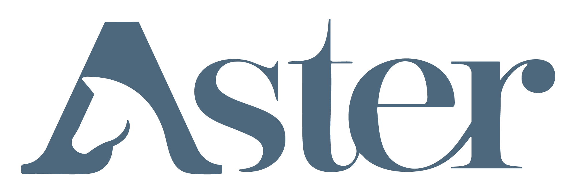 Aster bits